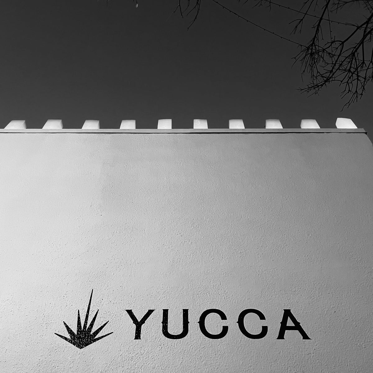Shop NEW at YUCCA | YUCCA